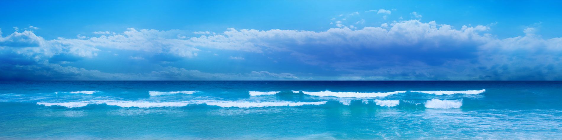 Cosmetic Dermatology San Francisco | Dr. Seth L. Matarasso